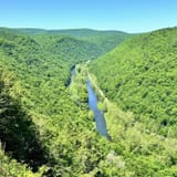 Tioga West Rim Trail, Pennsylvania - 551 Reviews, Map | AllTrails