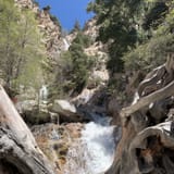 Big Falls Trail, California - 1,058 Reviews, Map | AllTrails
