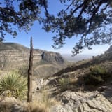 Dog Canyon Trail, New Mexico - 475 Reviews, Map | AllTrails
