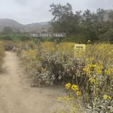 Two Trees Trail, California - 1,419 Reviews, Map | AllTrails