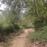 Two Trees Trail, California - 1,419 Reviews, Map | AllTrails