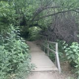 Two Trees Trail, California - 1,419 Reviews, Map | AllTrails