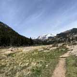 Cub Lake Loop, Colorado - 2,093 Reviews, Map | AllTrails