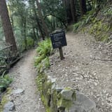 Bootjack Loop, California - 1,864 Reviews, Map | AllTrails