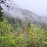 Iron Goat Trail, Washington - 1,462 Reviews, Map | AllTrails