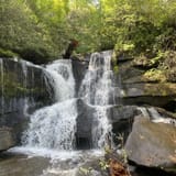 Cat Gap Loop Trail, North Carolina - 746 Reviews, Map | AllTrails