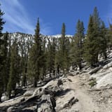 Chicken Spring Lake via Cottonwood Pass Trail, California - 434 Reviews ...