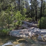 Ellison Creek Cascades, Arizona - 612 Reviews, Map | AllTrails