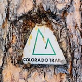 Waterton Canyon Trail, Colorado - 3,217 Reviews, Map | AllTrails