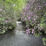 Anglezarke Reservoir, Lancashire, England - 666 Reviews, Map | AllTrails