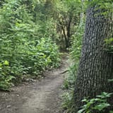 Cedar Ridge Outer Loop, Texas - 2,159 Reviews, Map | AllTrails