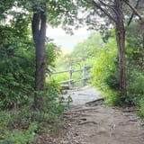Cedar Ridge Outer Loop, Texas - 2,159 Reviews, Map | AllTrails