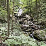 Jones Run Falls Trail, Virginia - 855 Reviews, Map | AllTrails