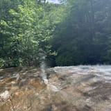Roaring Run Trail, Virginia - 829 Reviews, Map | AllTrails