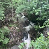 Roaring Run Hoop Hole Trail, Virginia - 742 Reviews, Map | AllTrails