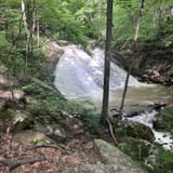 Roaring Run Trail, Virginia - 829 Reviews, Map | AllTrails