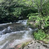 Roaring Run Trail, Virginia - 829 Reviews, Map | AllTrails
