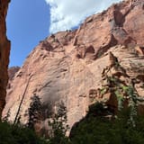 Middle Fork Taylor Creek Trail, Utah - 3,385 Reviews, Map | AllTrails