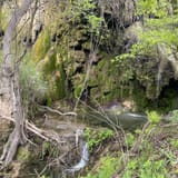 Gorman Falls Trail, Texas - 1,097 Reviews, Map | AllTrails