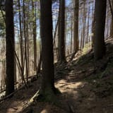 Arethusa Falls and Frankenstein Cliff Loop, New Hampshire - 2,077 ...