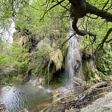 Gorman Falls Trail, Texas - 1,081 Reviews, Map | AllTrails