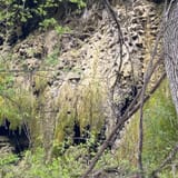 Gorman Falls Trail, Texas - 1,097 Reviews, Map | AllTrails