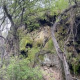 Gorman Falls Trail, Texas - 1,097 Reviews, Map | AllTrails