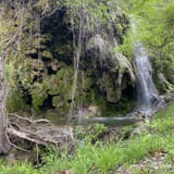 Gorman Falls Trail, Texas - 1,097 Reviews, Map | AllTrails