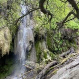 Gorman Falls Trail, Texas - 1,097 Reviews, Map | AllTrails