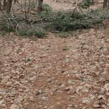 Capen Hill Nature Sanctuary, Massachusetts - 234 Reviews, Map | AllTrails