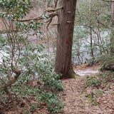 Capen Hill Nature Sanctuary, Massachusetts - 234 Reviews, Map | AllTrails