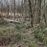 Capen Hill Nature Sanctuary, Massachusetts - 234 Reviews, Map | AllTrails