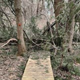 Capen Hill Nature Sanctuary, Massachusetts - 234 Reviews, Map | AllTrails