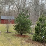 Capen Hill Nature Sanctuary, Massachusetts - 234 Reviews, Map | AllTrails