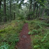 Turtleback Mountain South Trail , Washington - 385 Reviews, Map | AllTrails