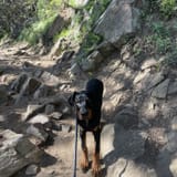 Colorow Mountain Forest and Meadow Loop Trail, Colorado - 595 Reviews ...