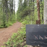 Apgar Lookout, Montana - 1,735 Reviews, Map | AllTrails