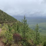 Apgar Lookout, Montana - 1,735 Reviews, Map | AllTrails
