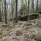Canyon Vista Trail, Pennsylvania - 852 Reviews, Map | AllTrails