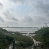 Oso Bay Wetlands Preserve, Texas - 384 Reviews, Map | AllTrails