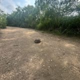 Oso Bay Wetlands Preserve, Texas - 384 Reviews, Map | AllTrails