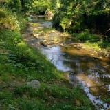 Octoraro Trail Loop, Pennsylvania - 164 Reviews, Map | AllTrails