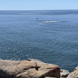 Ocean Path Trail, Maine - 3,512 Reviews, Map | AllTrails