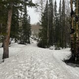 Silver Lake Loop Trail, Utah - 1,633 Reviews, Map | AllTrails