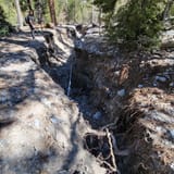 Mary Jane Falls Trail [CLOSED], Nevada - 4,746 Reviews, Map | AllTrails