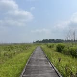 Sheldon Lake State Park Nature Loop, Texas - 245 Reviews, Map | AllTrails