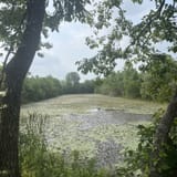 Sheldon Lake State Park Nature Loop, Texas - 245 Reviews, Map | AllTrails