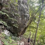Jones Run Falls Trail, Virginia - 855 Reviews, Map | AllTrails