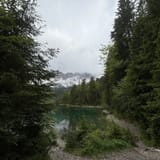Eibsee Loop, Bavaria, Germany - 1,072 Reviews, Map | AllTrails