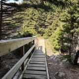 Middle Head Trail, Nova Scotia, Canada - 1,312 Reviews, Map | AllTrails